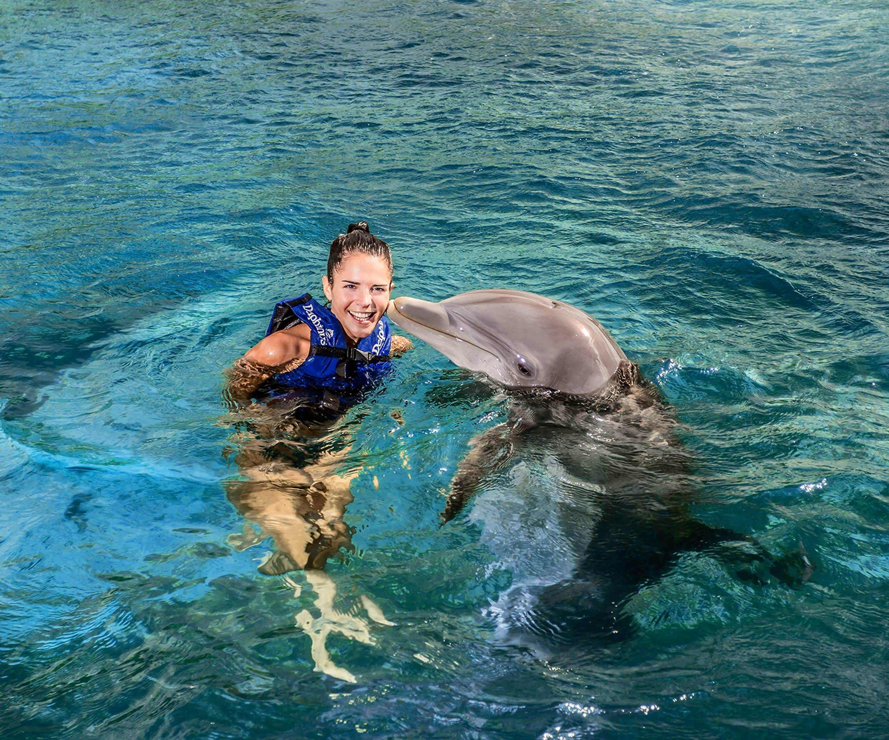 Swim with the Dolphins